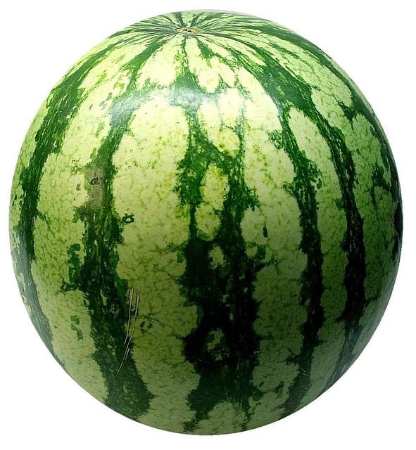 ASPEN® Tharboosani Seeds/Water Melon Seed/Puchakaya Seeds (30 Seeds ...
