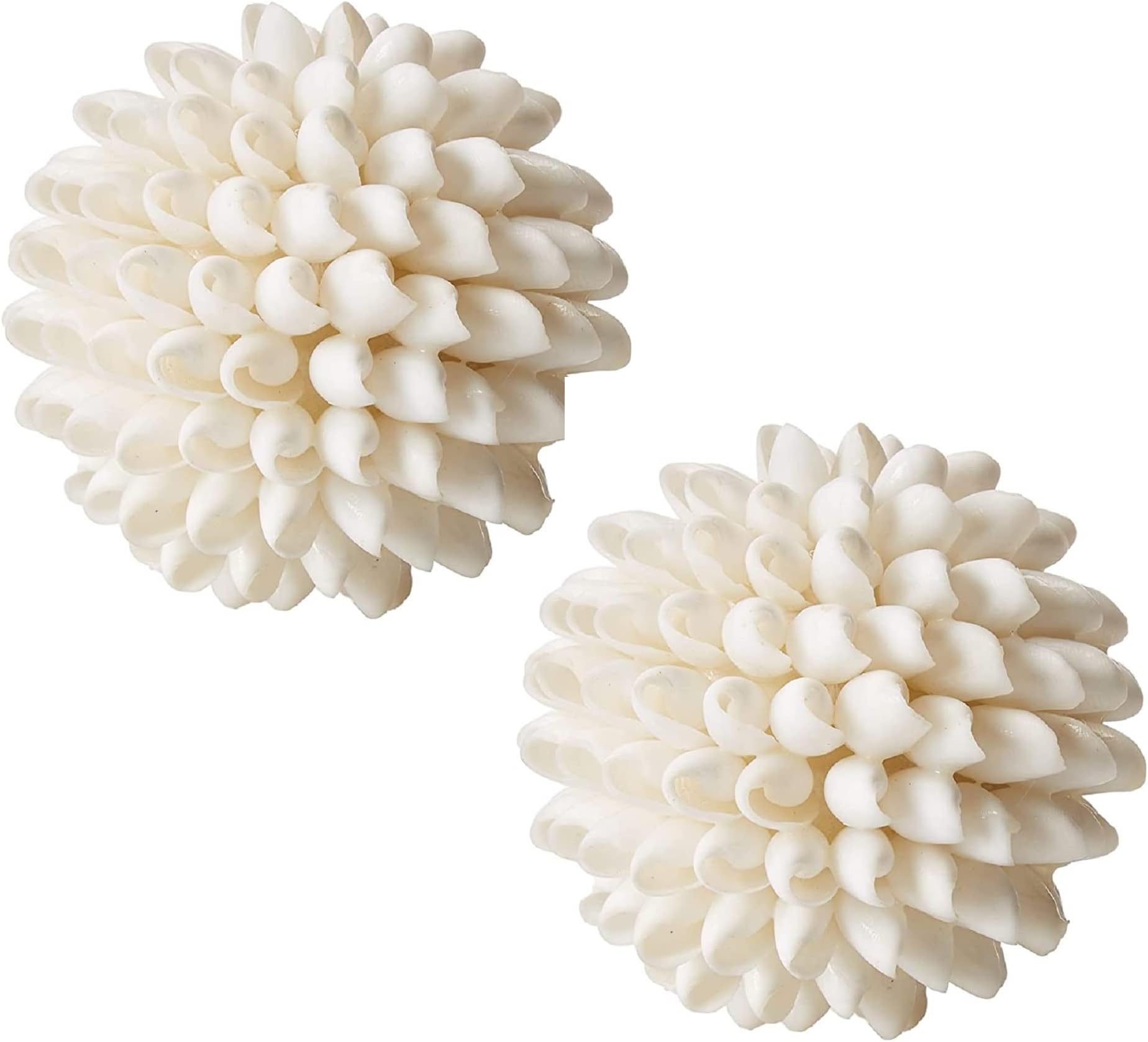 Amazon.com: Tumbler Home Real White Seashell Sphere - 3 Inches Wide ...