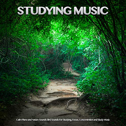 Play Studying Music: Calm Piano and Nature Sounds Bird Sounds For ...