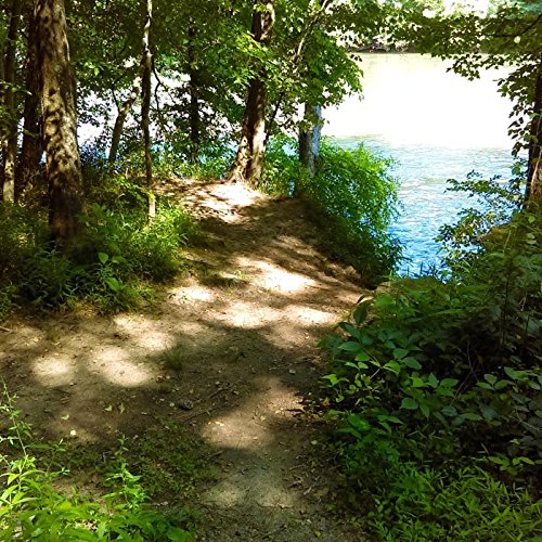 Amazon.com: Jesus Is Calling : Jan Boyle: Digital Music