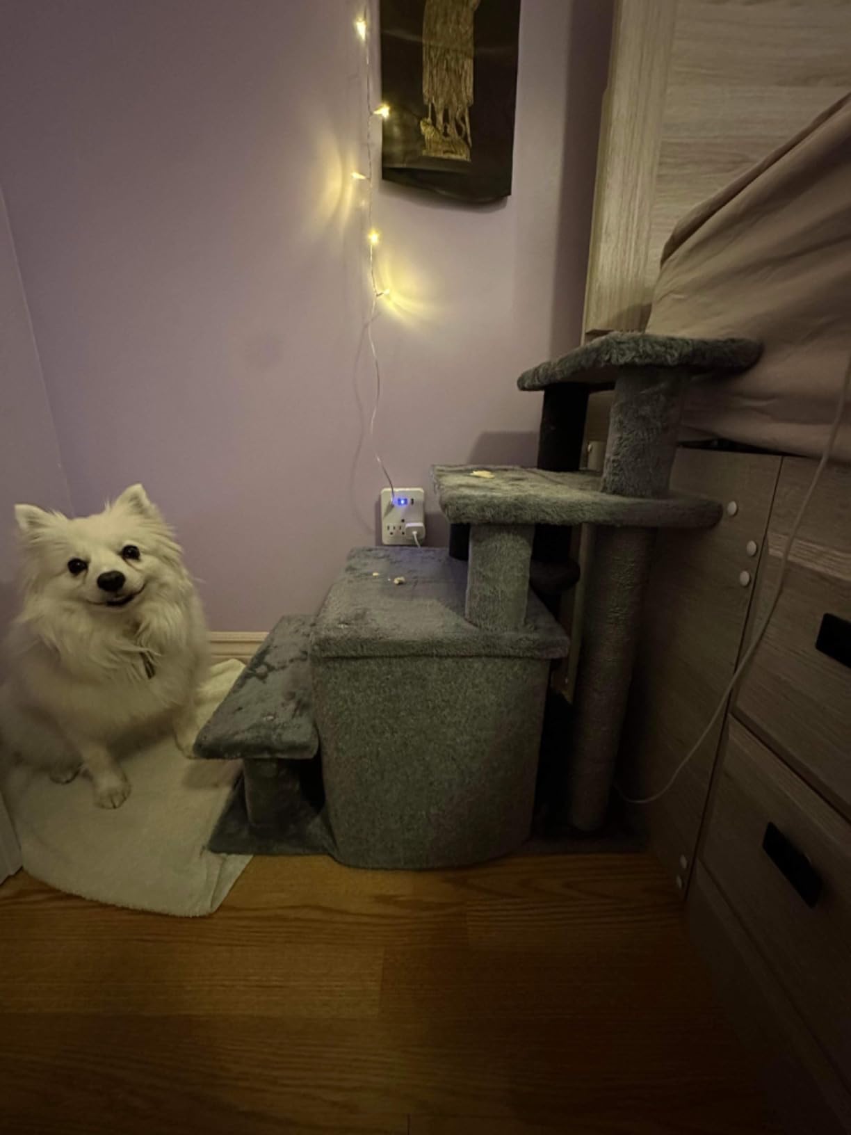 PawHut Adjustable Height Cat Stairs with Sisal Scratching Posts, Cat ...