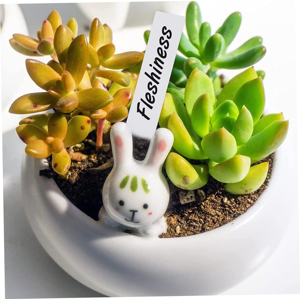 Yardwe 400 Pcs Plant Label Plastic Tags Suculentas Outdoor Plant Pot ...
