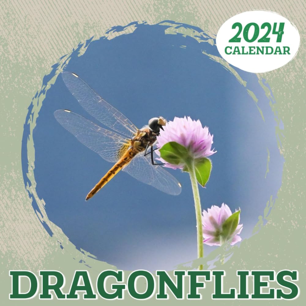 Amazon.com: Dragonflies Calendar 2024: 12-Month Calendar, January to ...