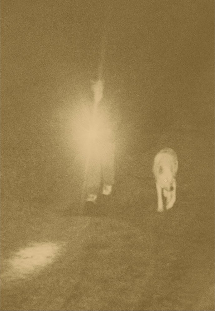 Invisible: Rindal, Ola: 9788299864015: Amazon.com: Books