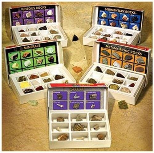 Amazon.com: Complete Set; Fossils; Igneous Rocks; Metamorphic Rocks ...
