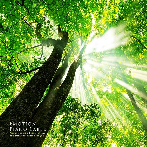 Play Sound In The Forest Where Nature Breathe (Healing Piano Collection ...