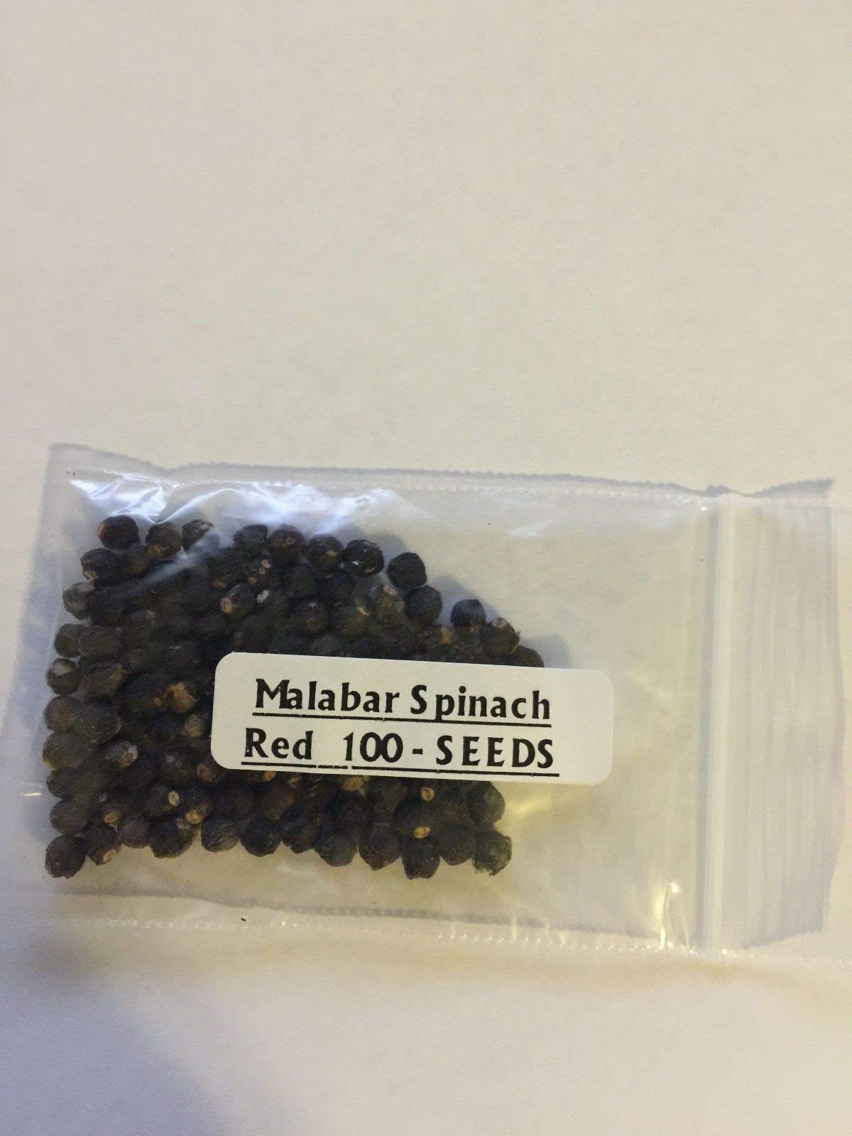 Red Spinach Seeds