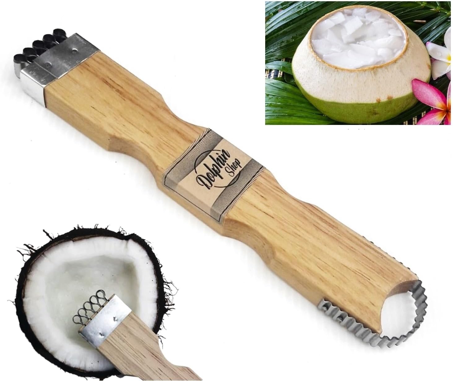 Amazon.com: Dolphin Shop Coconut Grater Scraper Shredder For Fresh ...