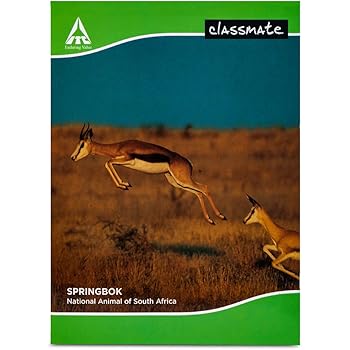 Classmate Single Line interleaf Notebook- Pack of 6 (120 Pages,240 x ...