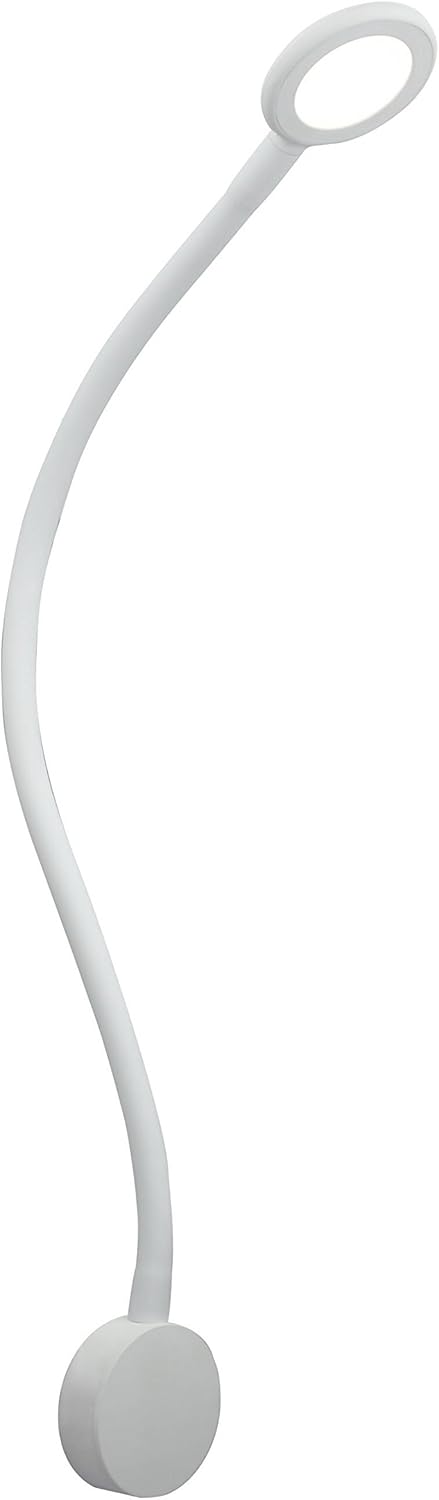 Amazon.com: Gooseneck 12 Volt Map Light Chart Light - Cool White (5 ...