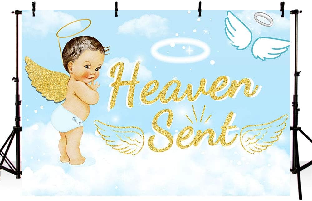 Amazon.com : Mocsicka Heaven Sent Baby Shower Backdrop Angel Wings ...