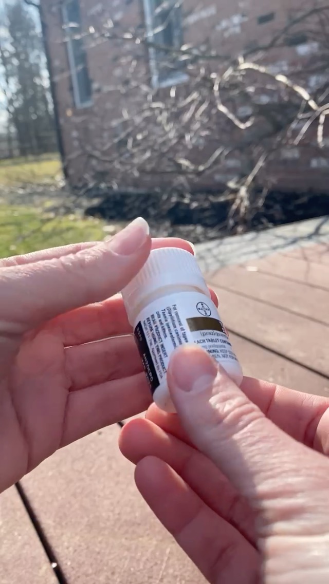 Watch Bayer Expert Care Tapeworm Dewormer for Cats Review on Amazon Live