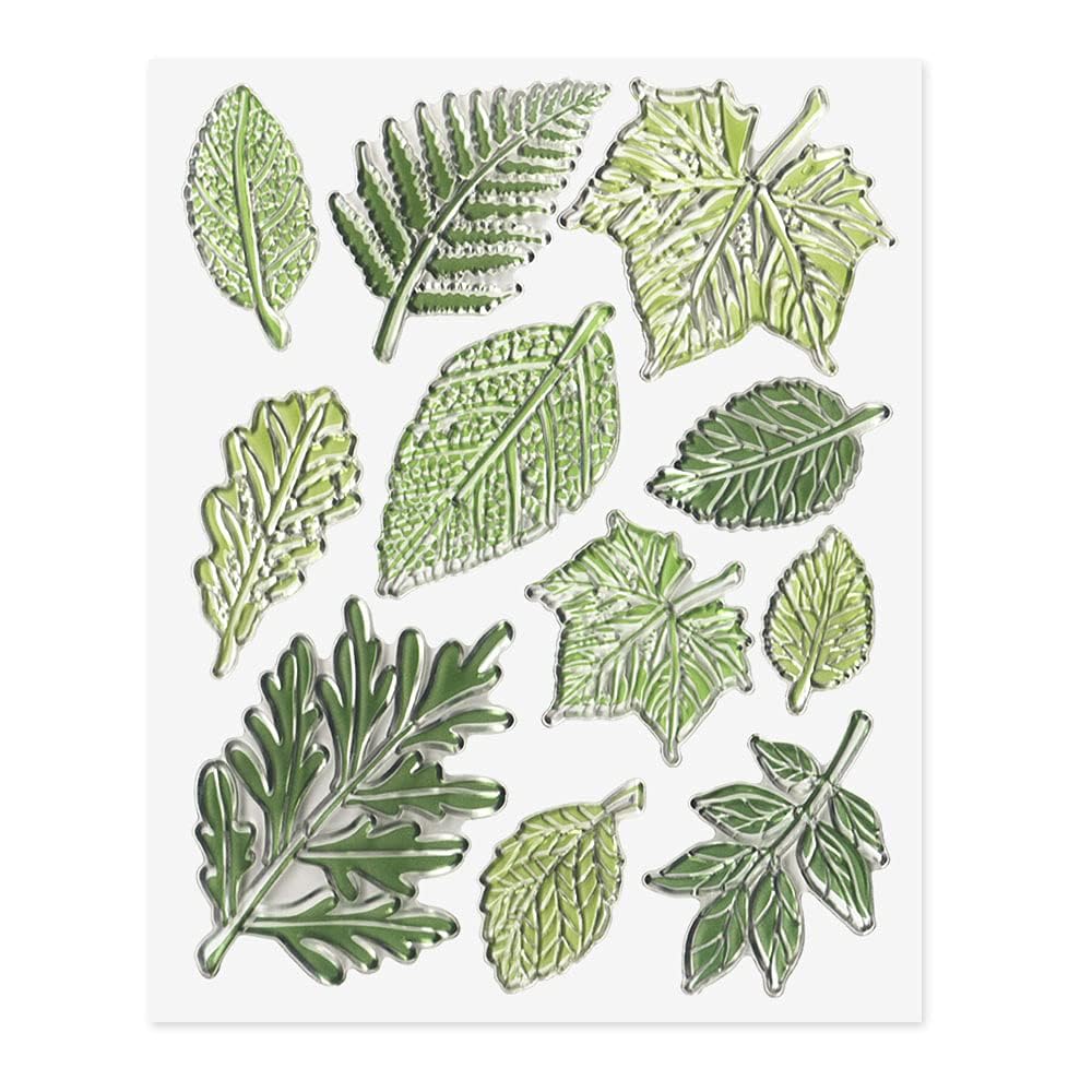 Amazon.com: Multiple Green Leaves Clear Stamp for Card Making Maple ...