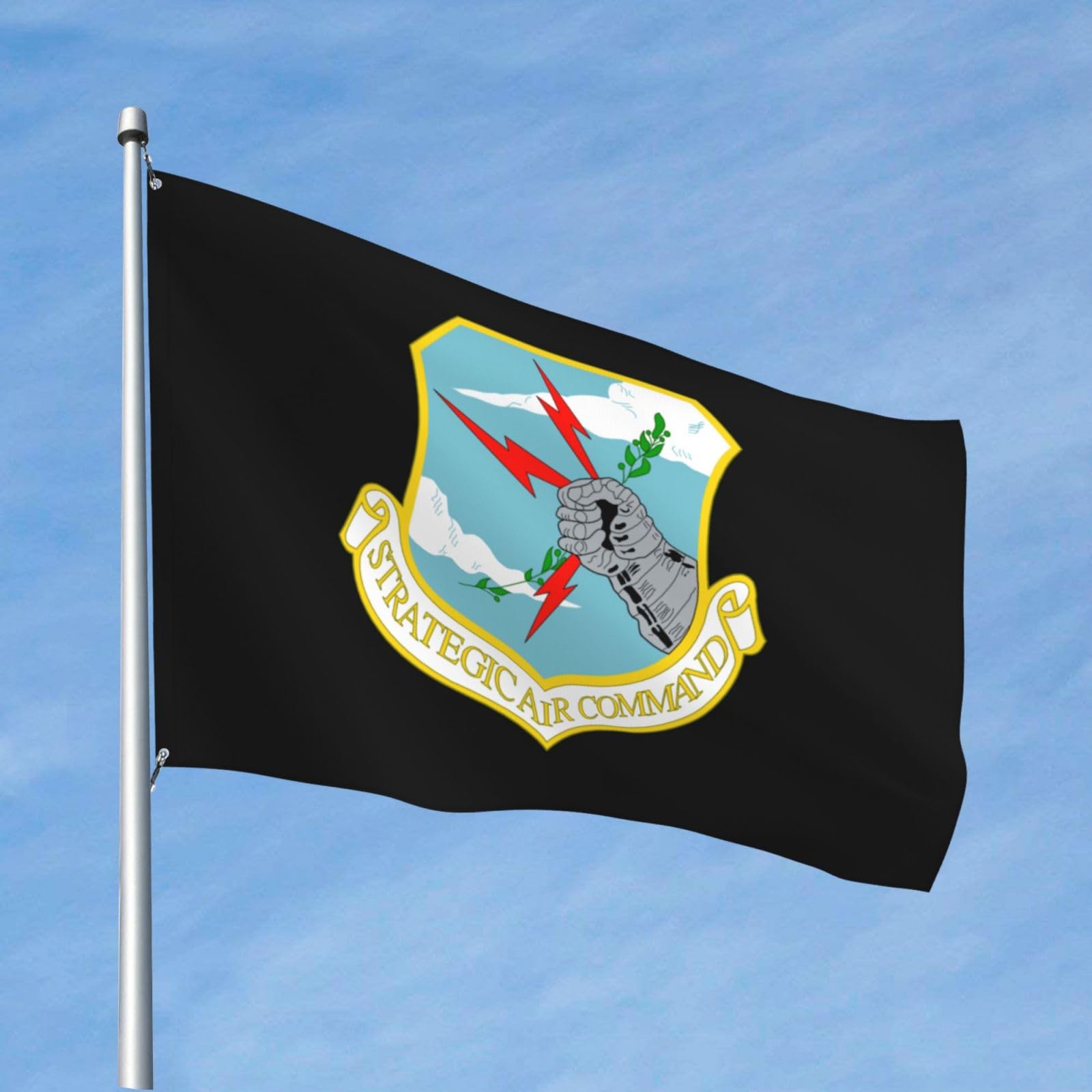 Amazon.com : 4x6 Flag Shield Of The Usaf Strategic Air Command Banner ...