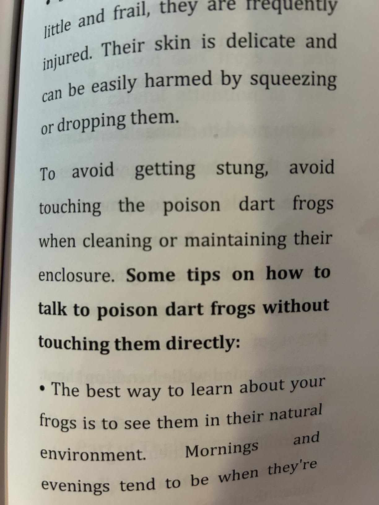 RAISING A POISON DART FROG: The Complete Handbook On How To Raising And ...