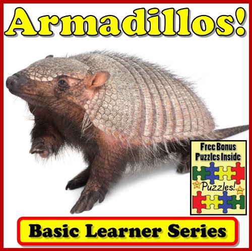 Amazon.com: Armadillo! Basic Learning About Armadillos - Basic Learner Series! Childen's Animal ...