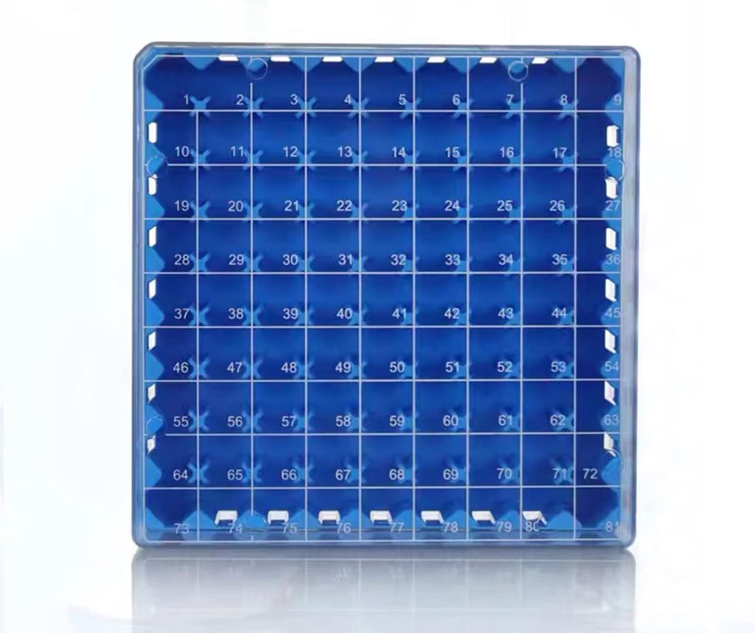 Amazon.com: Cryogenic Storage Box - Polycarbonate Freezer Boxes,Blue/81 ...