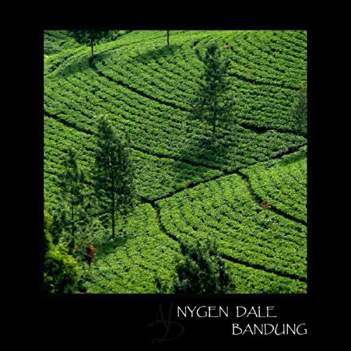 Amazon.co.jp: Bandung : Nygen Dale: デジタルミュージック