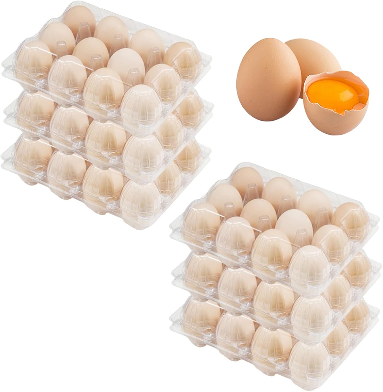 Amazon.com: Aulufft Egg Cartons 50 Packs, Bulk Plastic Clear Empty Egg ...