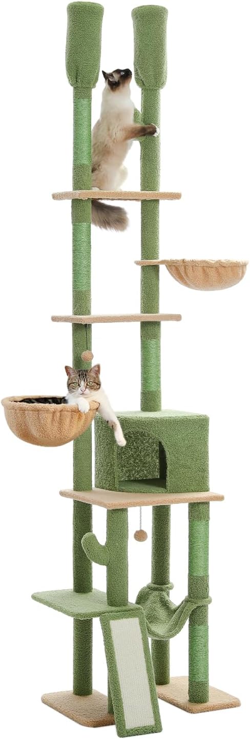 Amazon.com : CatastrophiCreations Juggernaut Modern Cat Condo for Large ...