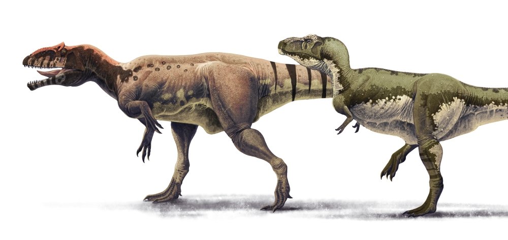 Giganotosaurus Carolinii Por Topgon 28 Giganotosaurus Carolinii Stock