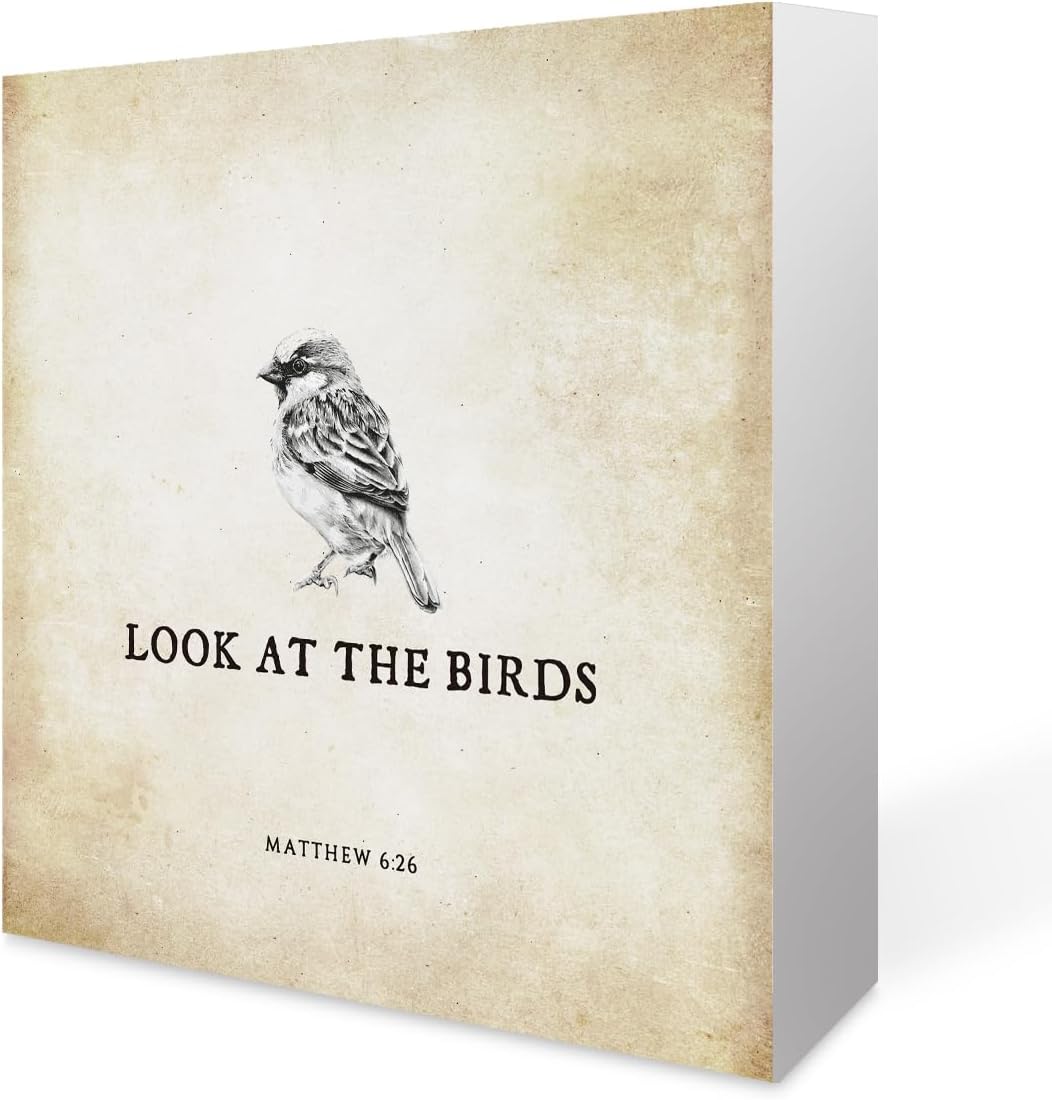 Amazon.com: Inspirational Bible Verse Look at The Birds Wooden Box Sign ...