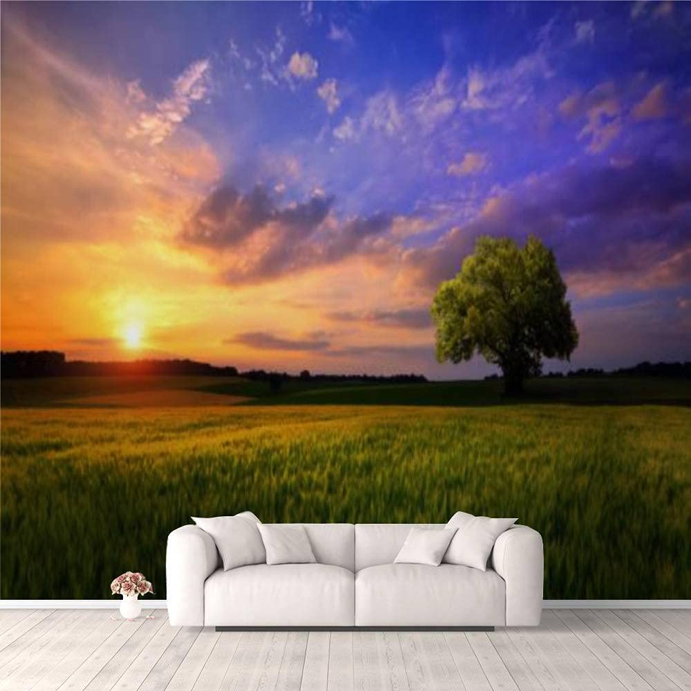 Open Field At Sunset
