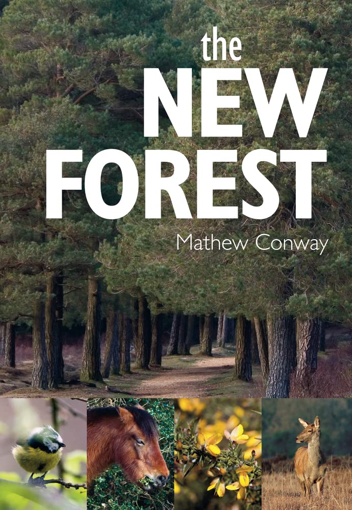 The New Forest: Conway, Mathew: 9780752449326: Amazon.com: Books