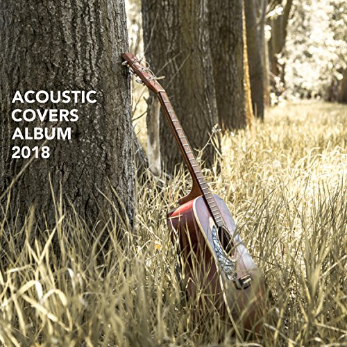 Amazon.com: Acoustic Covers Album 2018 : Various artists: Digital Music