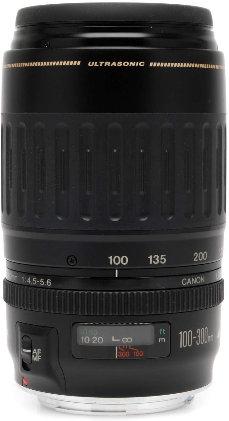 Canon Zoom Lens EF 100-300 mm 100-300mm 1:4.5-5.6 4.5-5.6 USM : Amazon ...