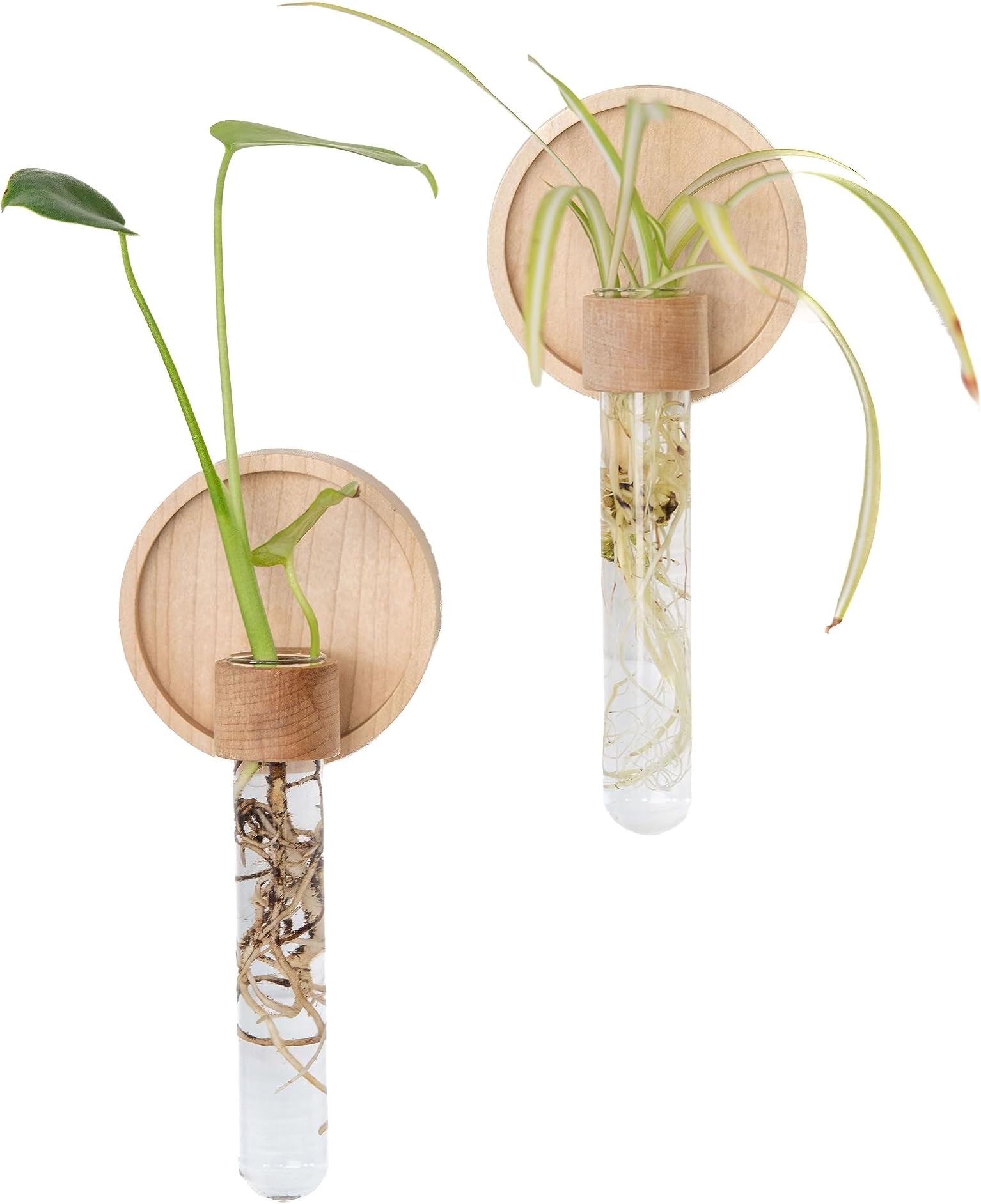 Amazon.com: Chonsun Plant Propagation Stations Plant Terrariums Wall ...