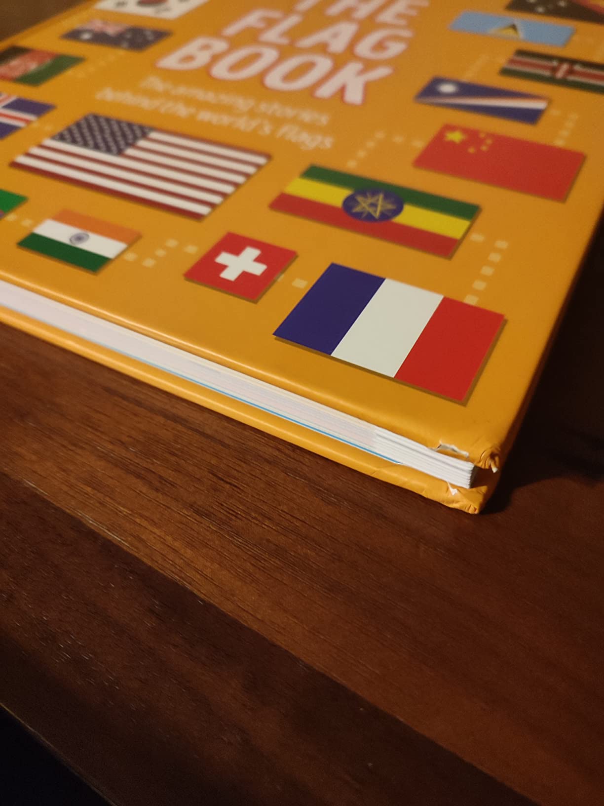 The Flag Book (The Fact Book): Amazon.co.uk: Butterfield, Moira ...