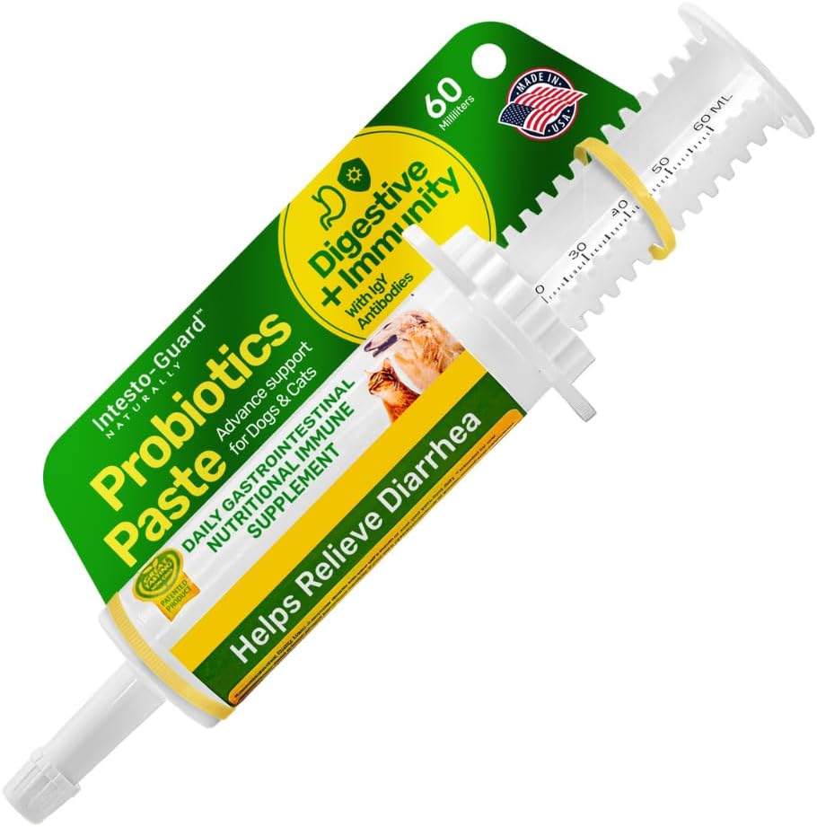 Amazon.com: Nutramax Proviable Digestive Health Supplement Kit with ...