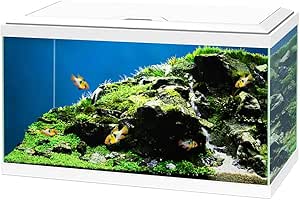 Ciano Aquarium Aqua 60 Plus LED blanc 60 x 30 x 37,2 cm 65 l. : Amazon ...