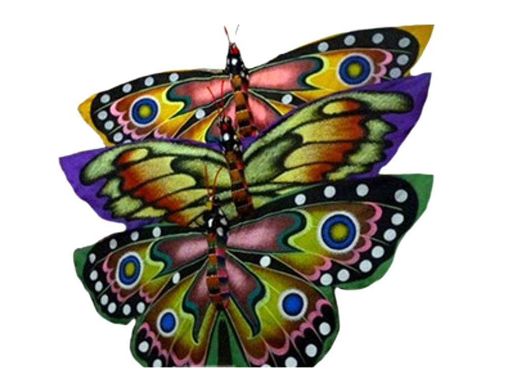 Chinese Butterfly Kites
