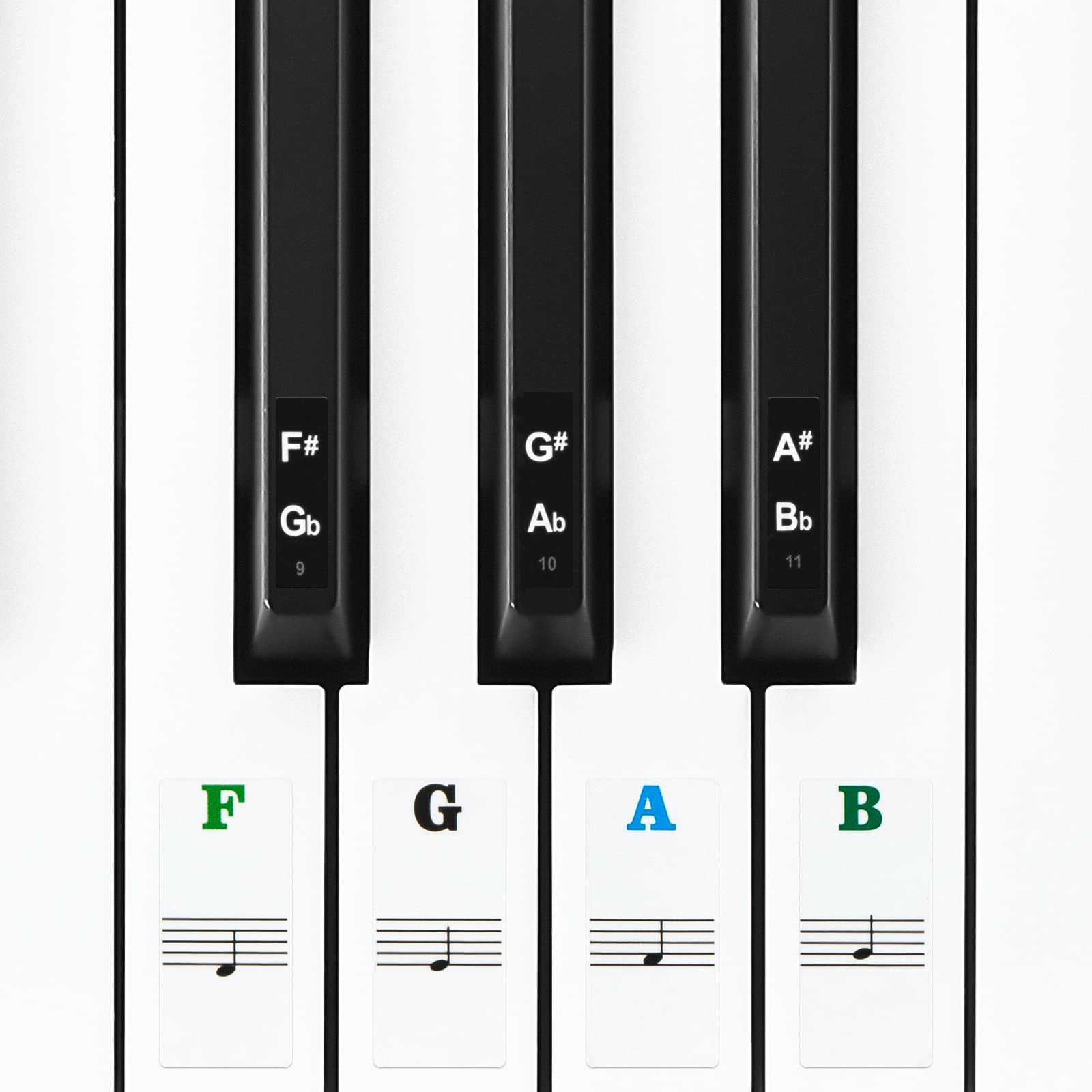 Linkidea Piano Keyboard Note Stickers (Color Coded with Transparent ...