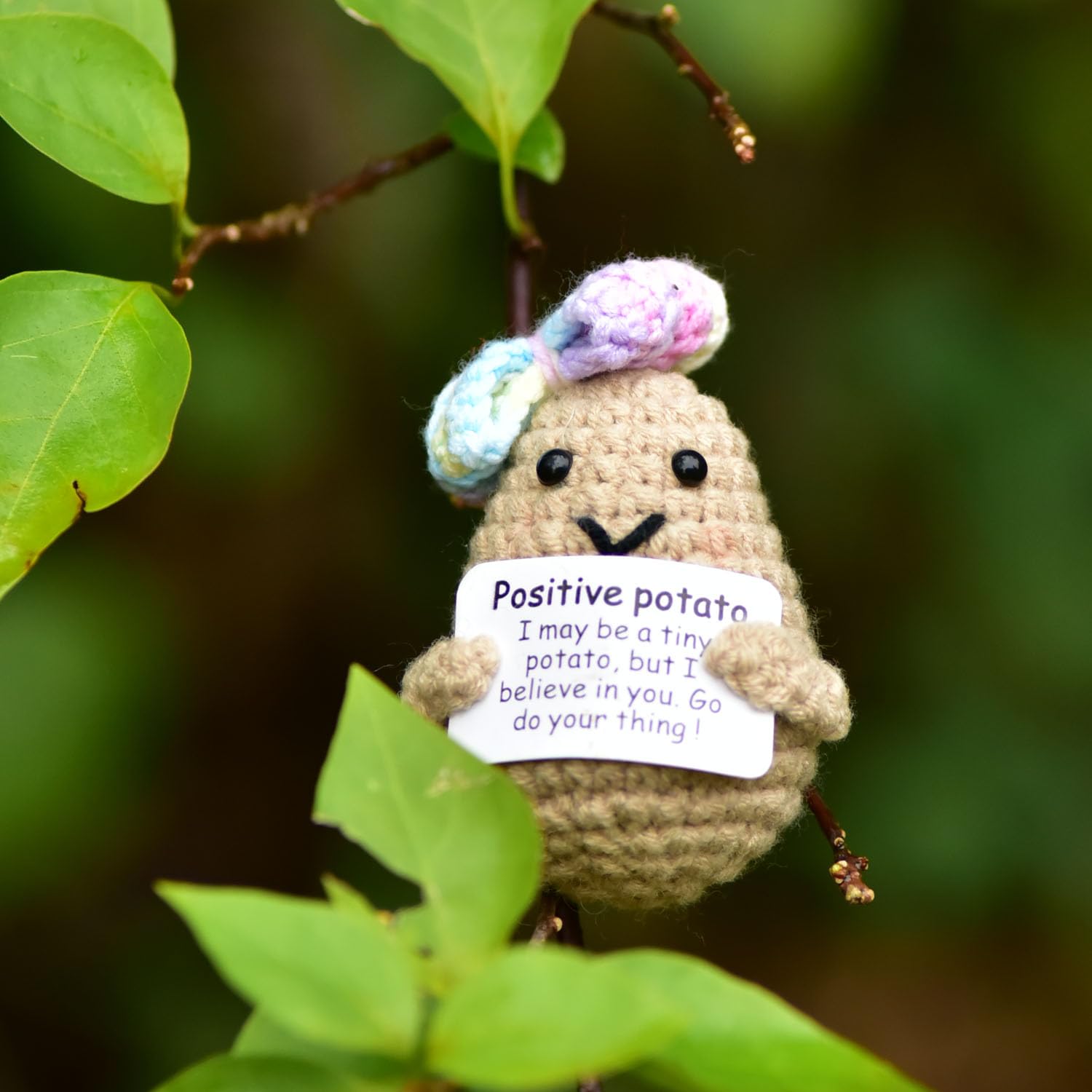 Snapklik.com : Qyqkfly 1 Pcs Positive Mini Funny Potato Holding Card ...