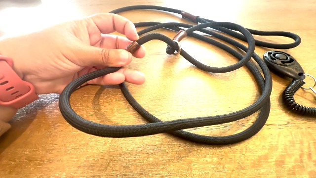 Watch Do NOT Buy Leash for Dog Until You Watch This! on Amazon Live