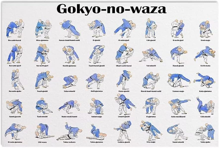 Amazon.com: Vintage Wall Art Judo Techniques Knowledge Wall Decor ...