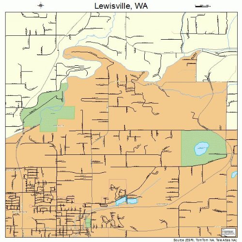 Amazon.com : Large Street & Road Map of Lewisville, Washington WA ...