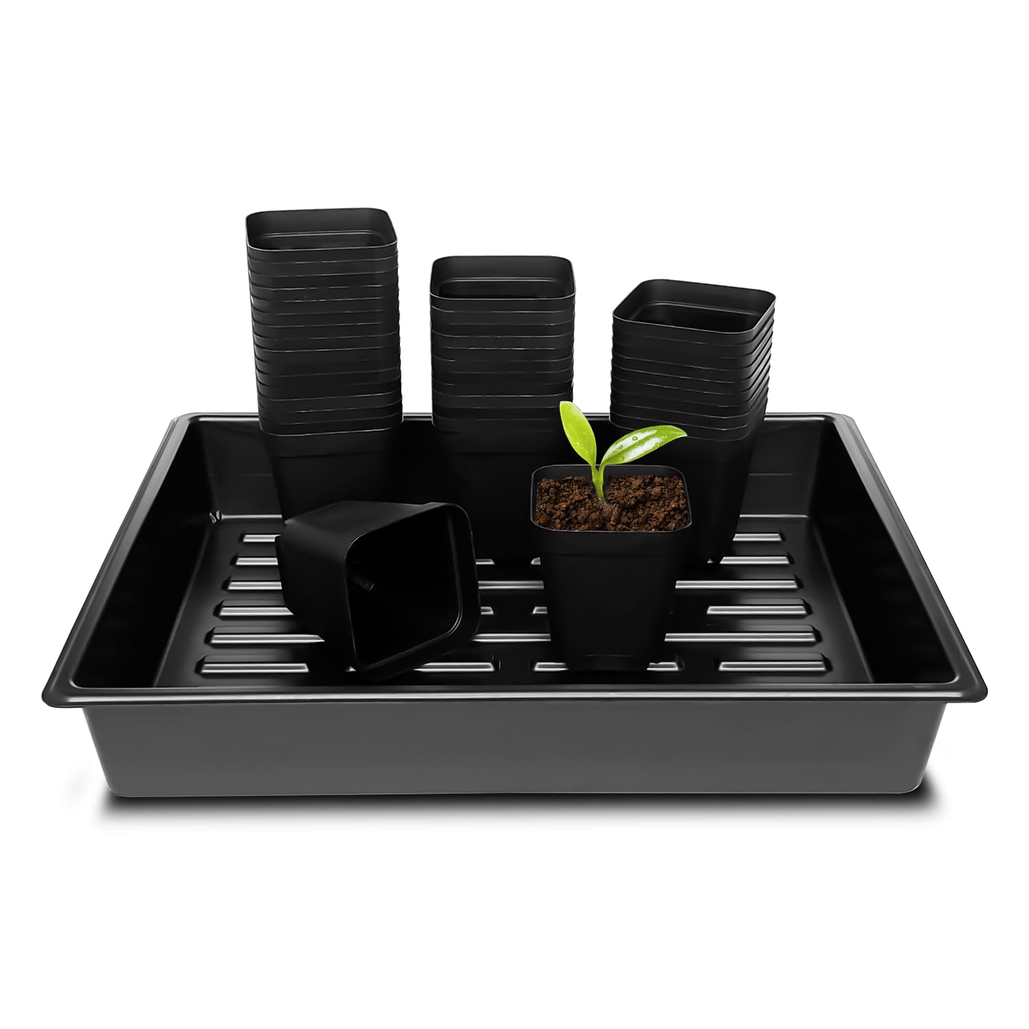 Amazon.com : RooTrimmer 3.15 inch (8CM) Square Nursery Pots 100 pcs ...