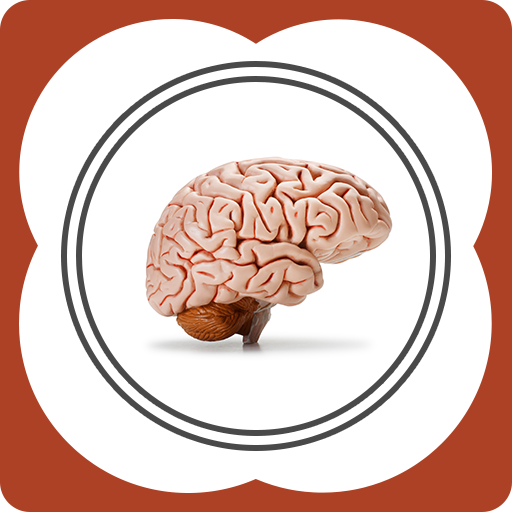 The Brain - Enhance Cognitive Functions and Consciousness With ...