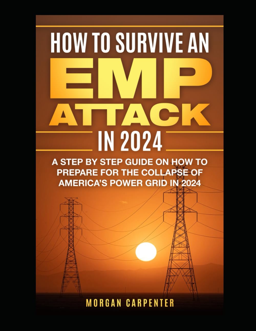 Amazon.com: How To Survive An EMP Attack in 2024: A Step by Step Guide ...