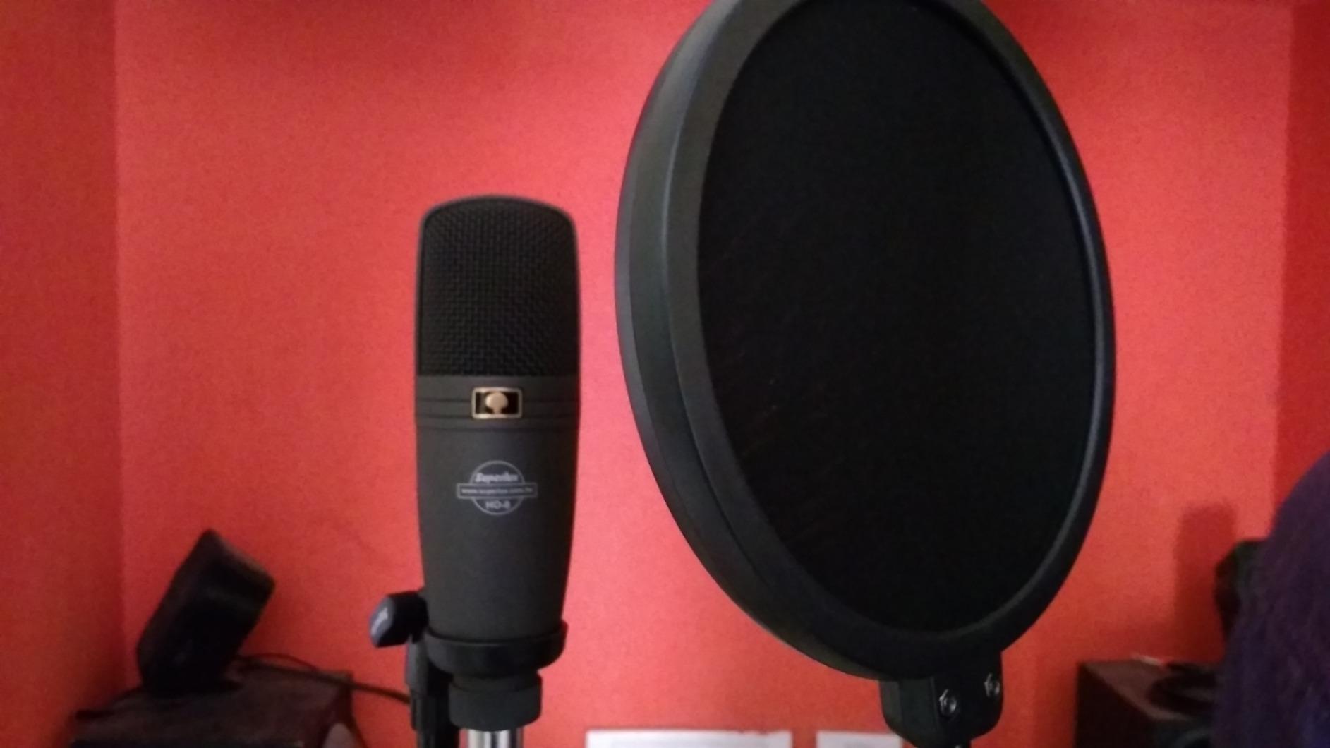 Superlux MX Professional Recording Microphone – Cardioid Condenser, XLR ...