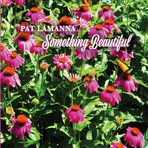 Play Something Beautiful by Pat Lamanna on Amazon Music