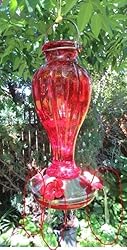 Stokes Select Blossom Glass Hummingbird Feeder with Four Feeding Ports ...