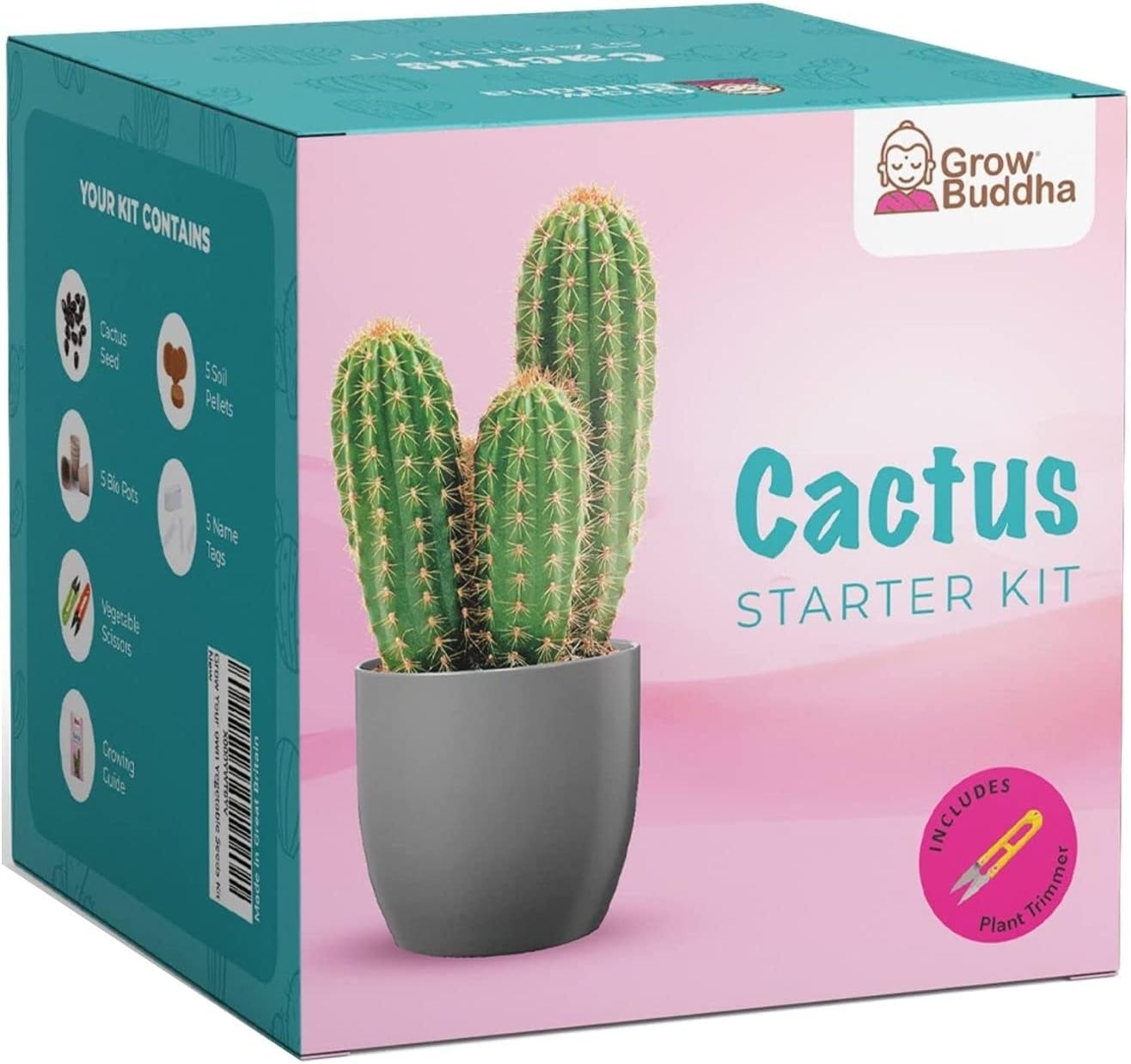 Cactus Kit - Grow Your Own Cacti Plants Indoors - Unusual Gardening ...
