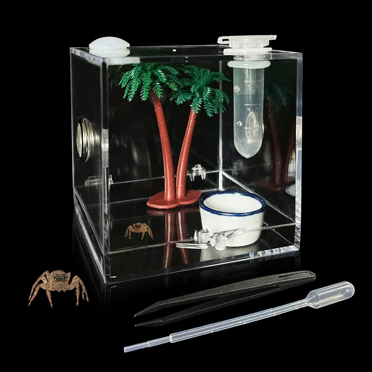 Amazon.com : GKPONSX Jumping Spider Enclosure, Acrylic Snail Spider ...