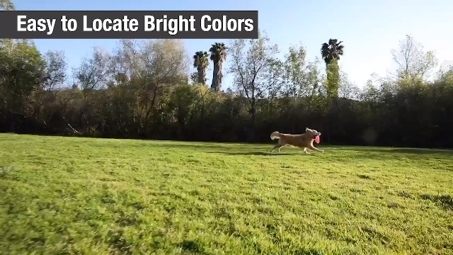 Watch Hyper Pet Flippy Flopper Dog Frisbee and Interactive Dog Toy [Dog ...