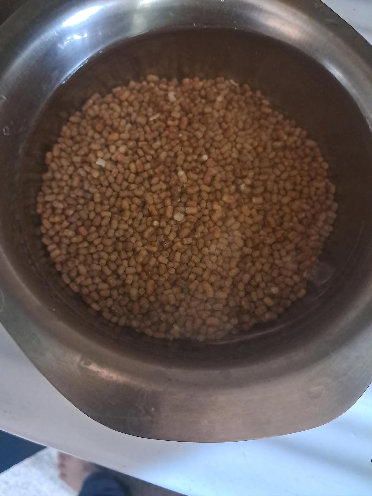 Amazon Brand - Vedaka Premium Moth Matki, 1 kg : Amazon.in: Toys & Games